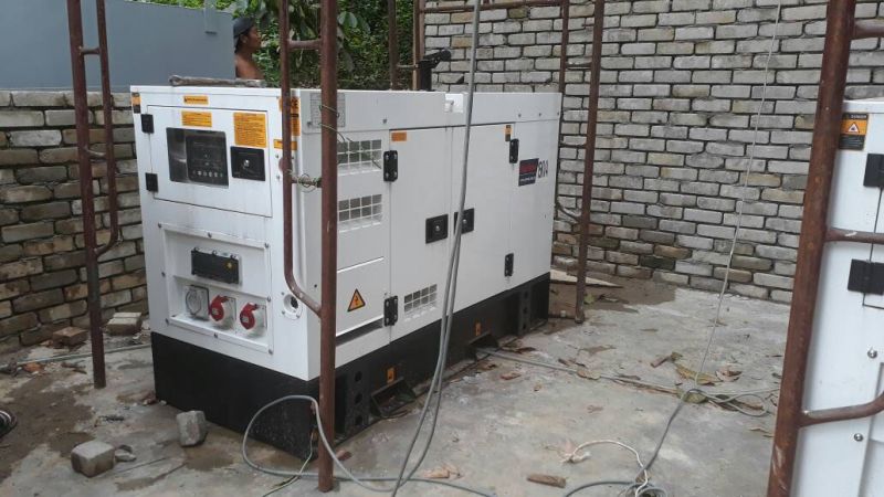 Generator For Chicken Poultry Farm Malaysia | Effective